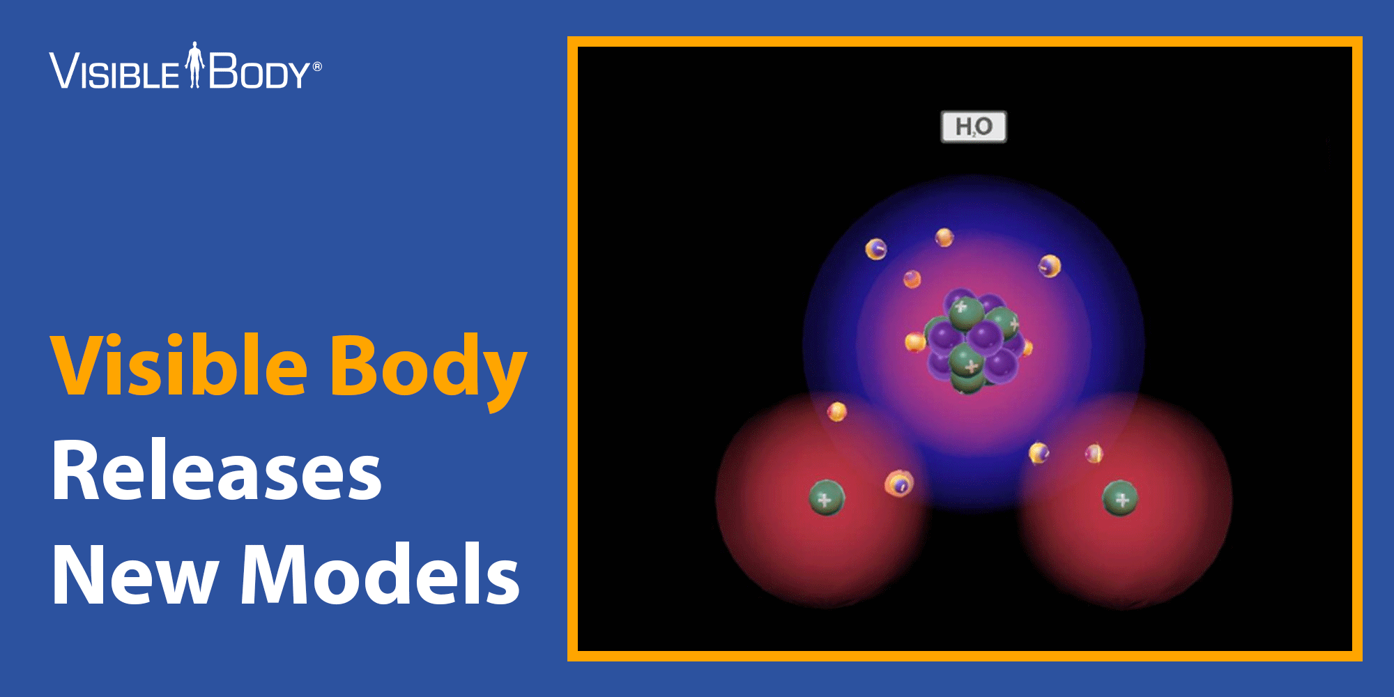 Visible Body Releases 3D, Interactive Biochemistry Models